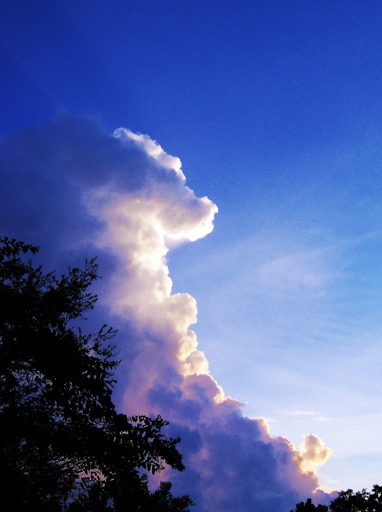 The Face of the Lord | ThePreachersWord