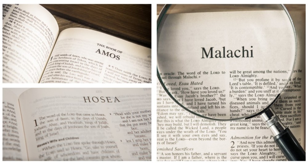 Florida College Lectures | ThePreachersWord